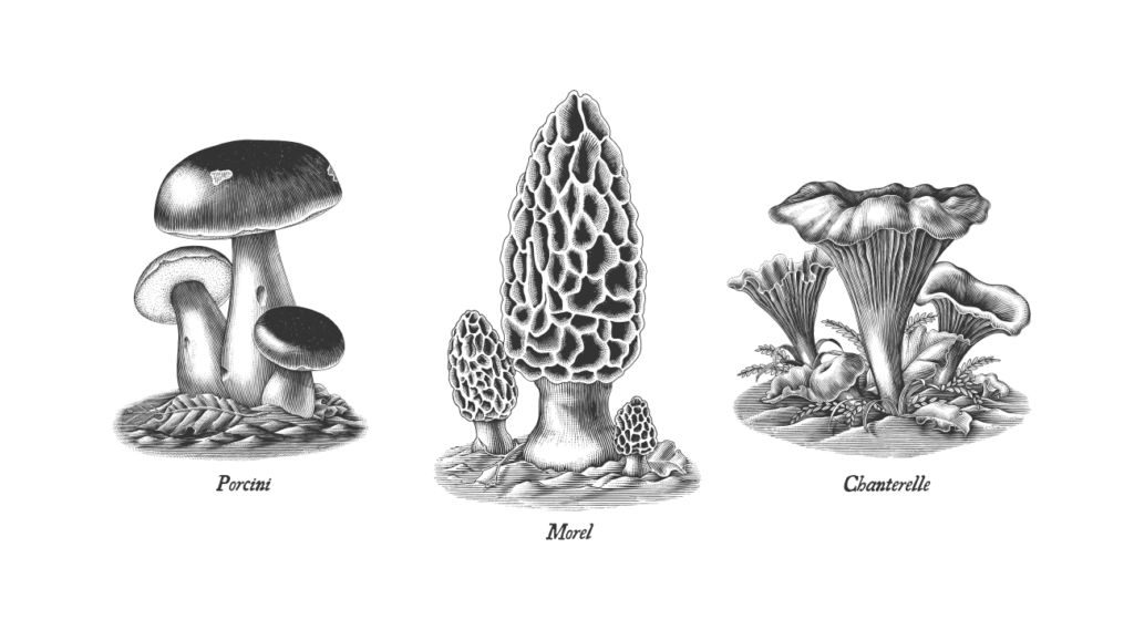 Mushroom Tasting Menu - République